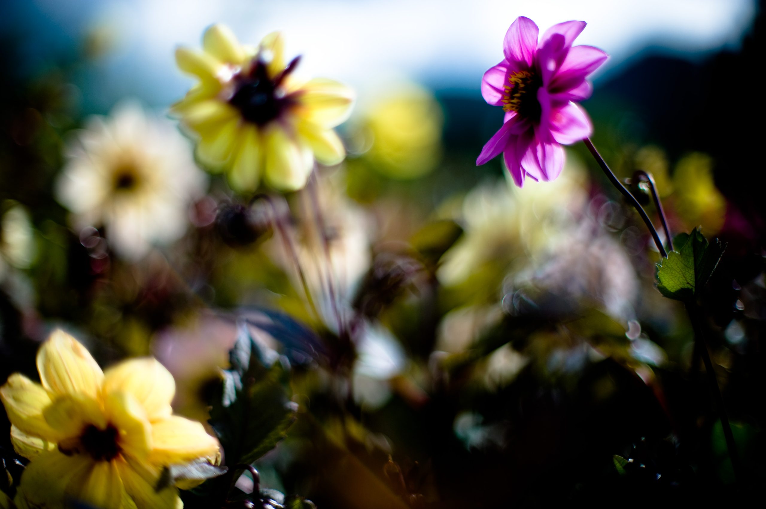 11 | non-standard world株式会社