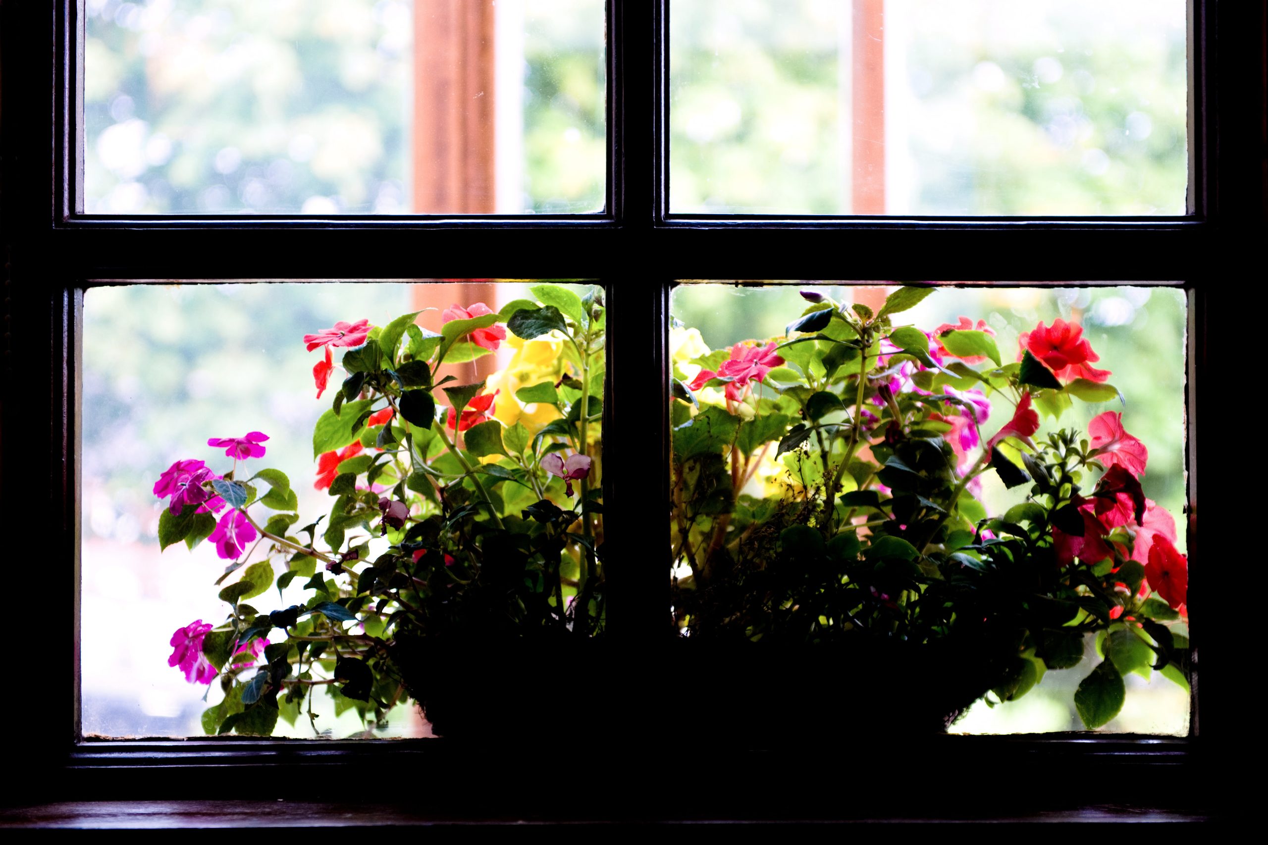 3 | non-standard world株式会社